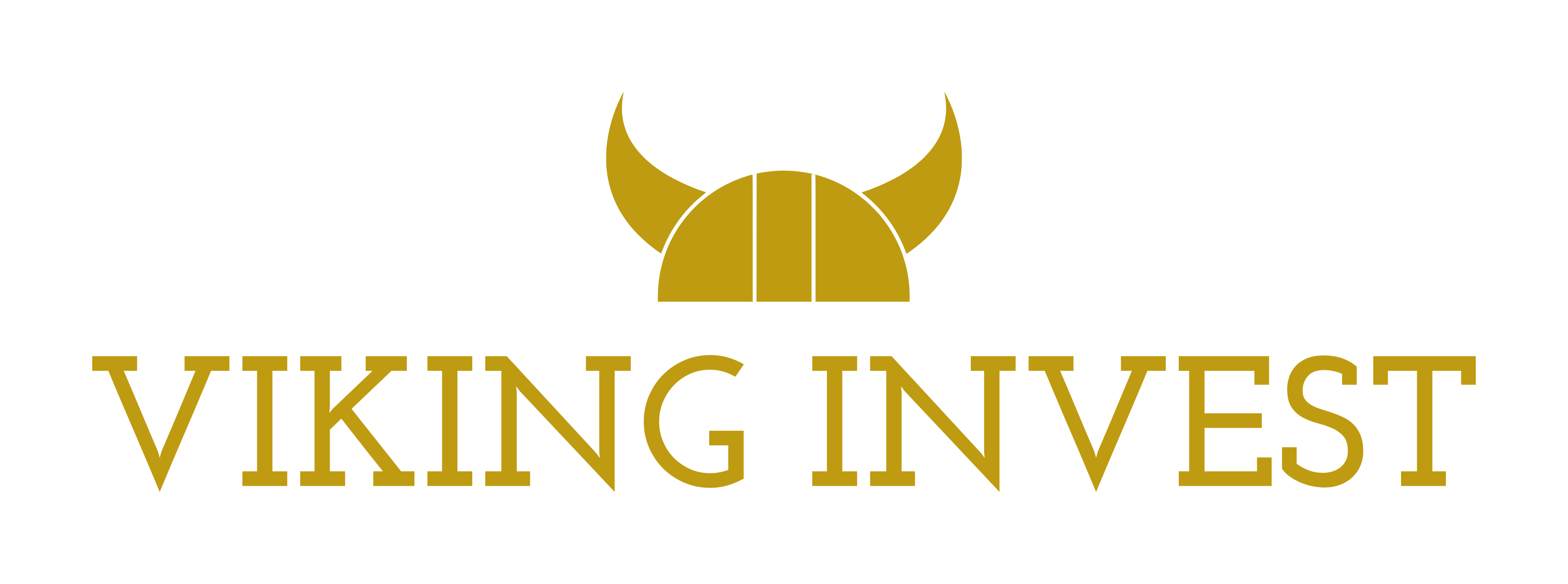 VIKING INVEST - Startseite